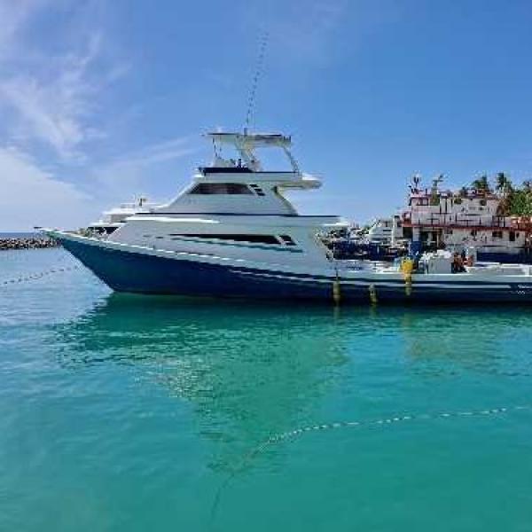 FollowMe - Your Instant Tracking Solution