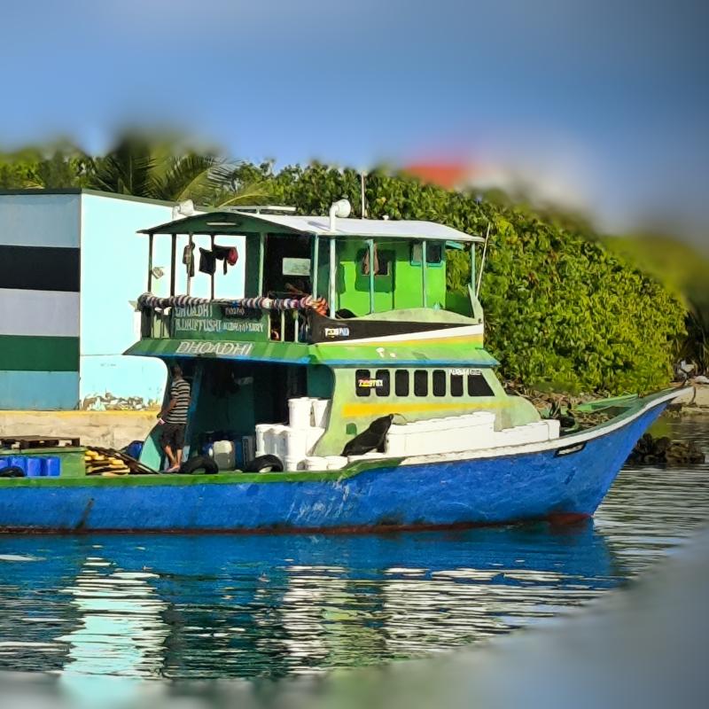 FollowMe - Your Instant Tracking Solution